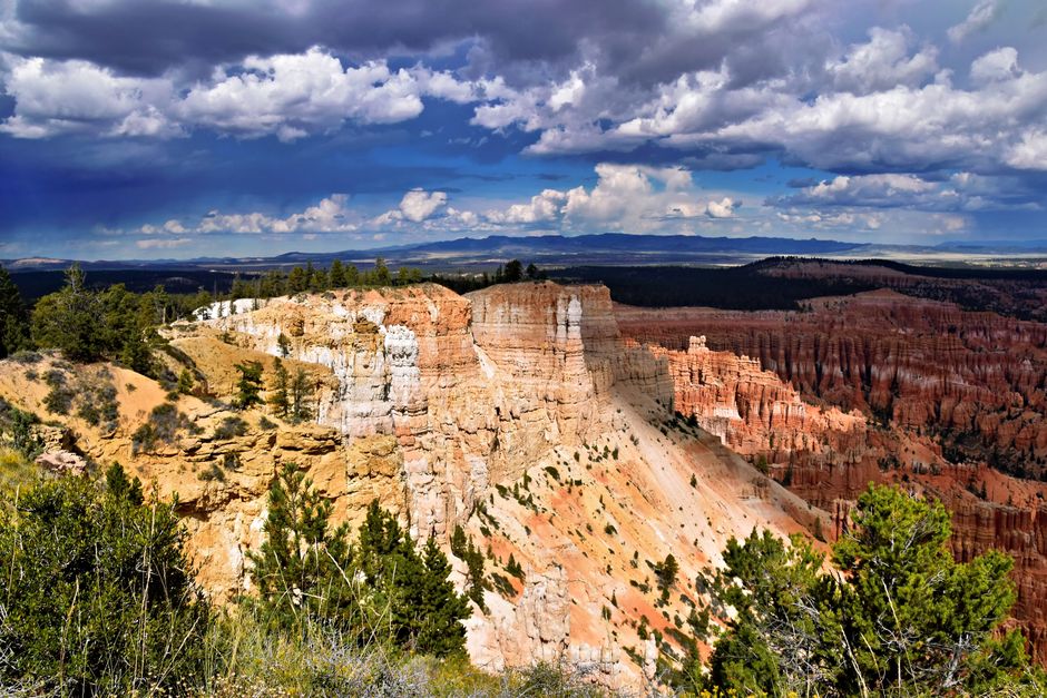 Extinct Mega-Structures Built by Prehistoric Insects | Trivia Break